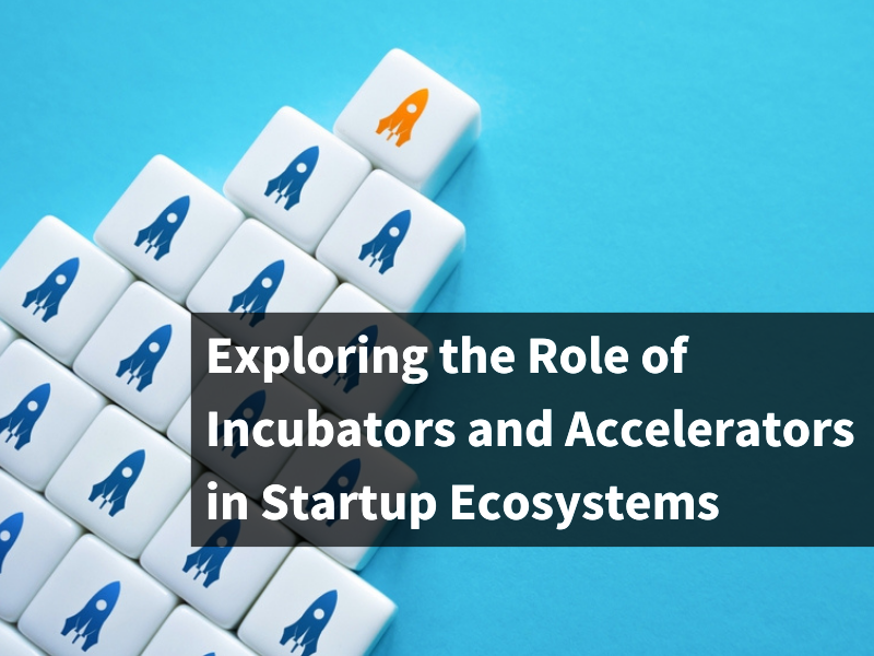 Exploring the Role of Incubators and Accelerators in Startups